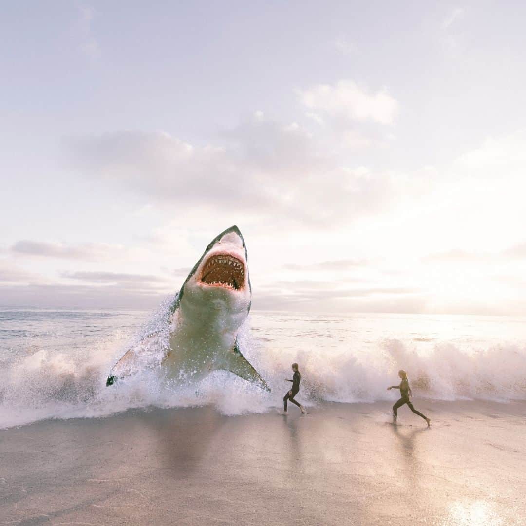 A Homeschoolers Guide To Shark Week Activities - Mommy Daughter Love ...